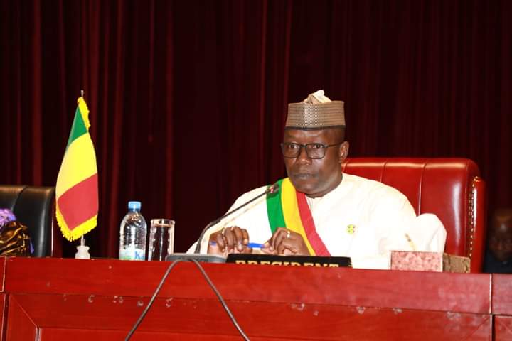 Conseil National de Transition (CNT) au Mali : Adoption de 190 ...